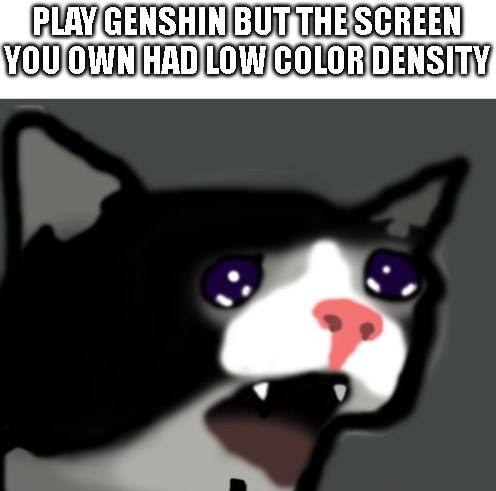 Genshin Impact's screaming cat memes pack | Genshin Impact | HoYoLAB
