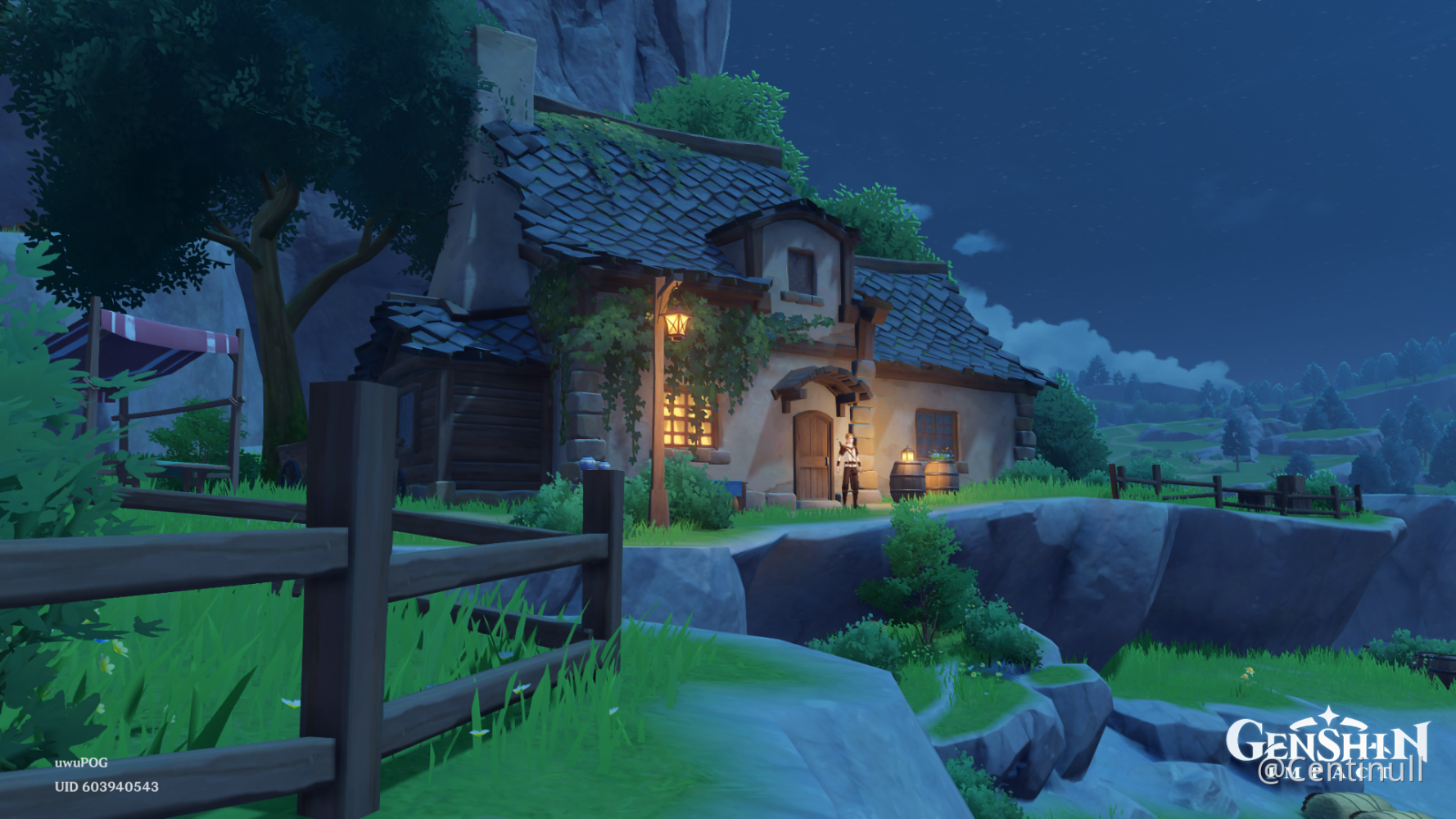 Photoshoot - Night Springvale Genshin Impact | HoYoLAB