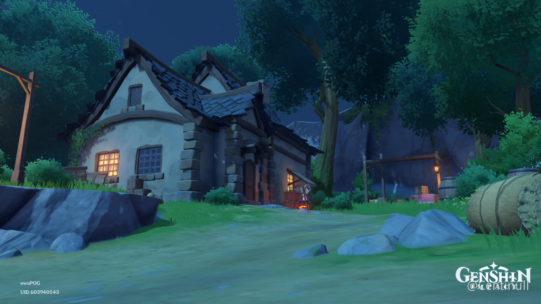 Photoshoot - Night Springvale Genshin Impact | HoYoLAB