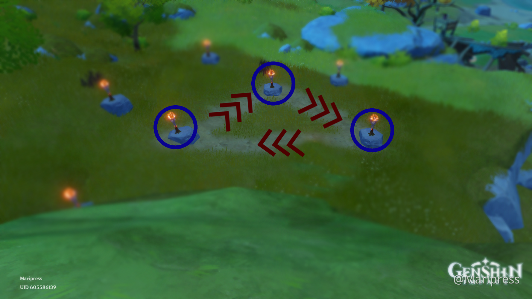 How to activate the elemental pattern around Luhua Pool . Genshin Impact | HoYoLAB