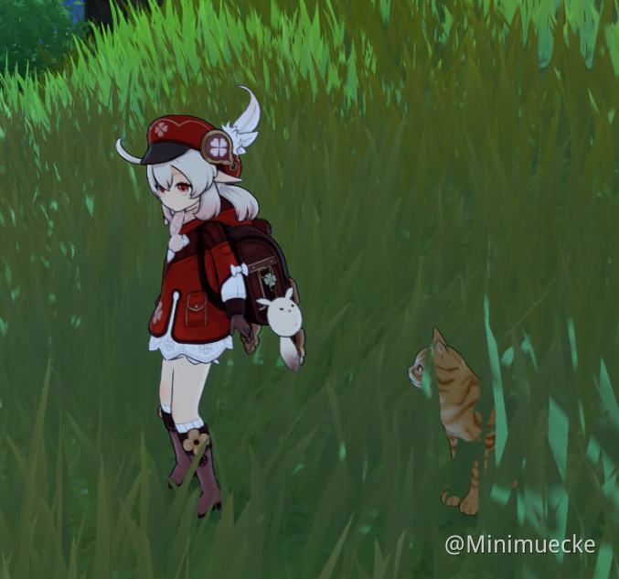 Kitten escort Genshin Impact | HoYoLAB