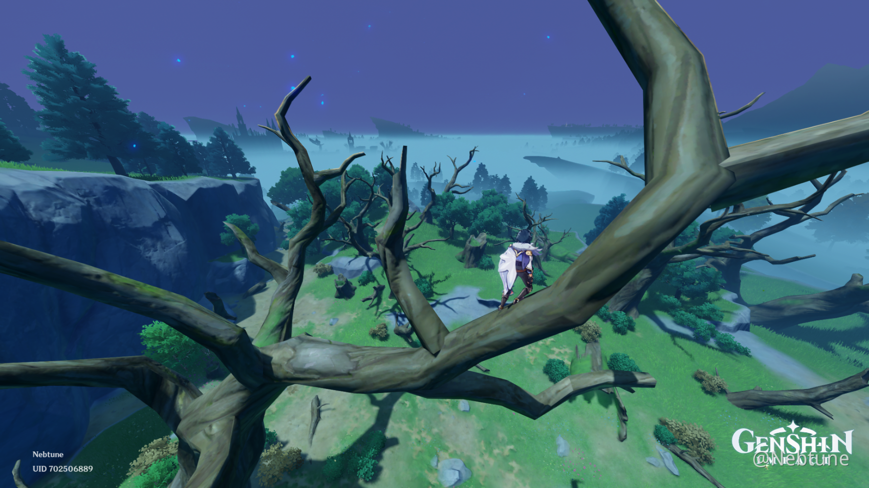 Pic of Wolvendom with Mist Genshin Impact | HoYoLAB