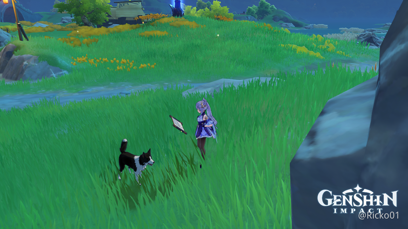 The only dog that you can interact Genshin Impact | HoYoLAB