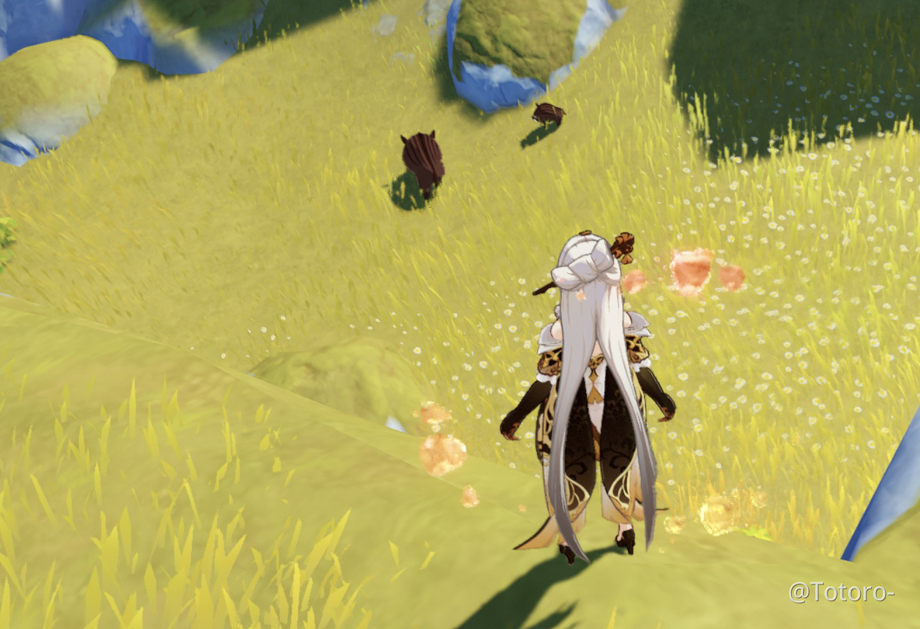 Mini Boar Genshin Impact | HoYoLAB