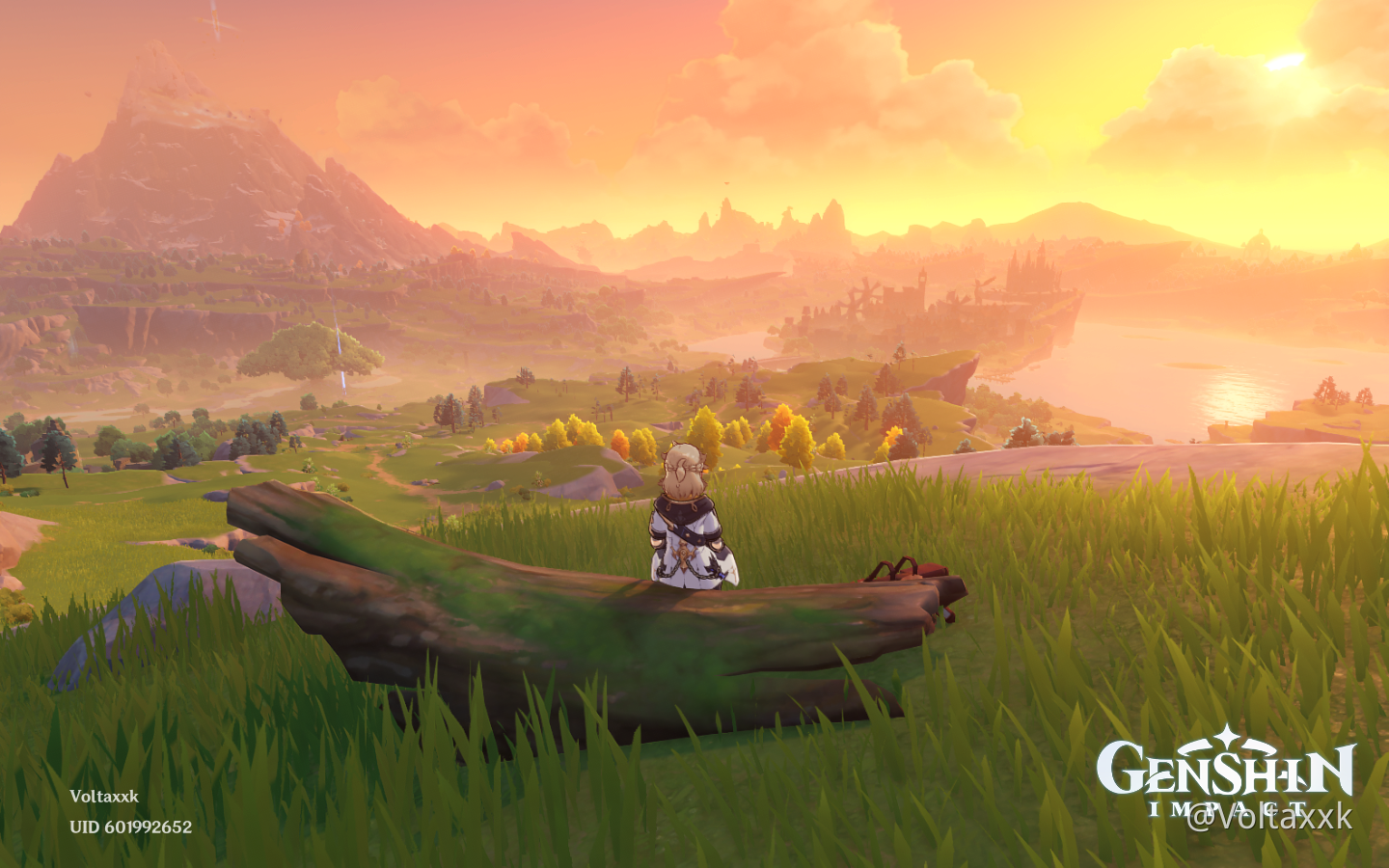 Monstad. Genshin Impact | HoYoLAB