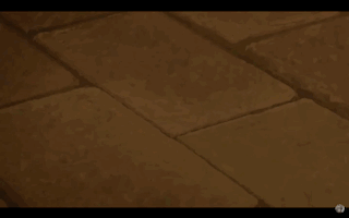 What I think of Mona's sprinting - miHoYo Player Community