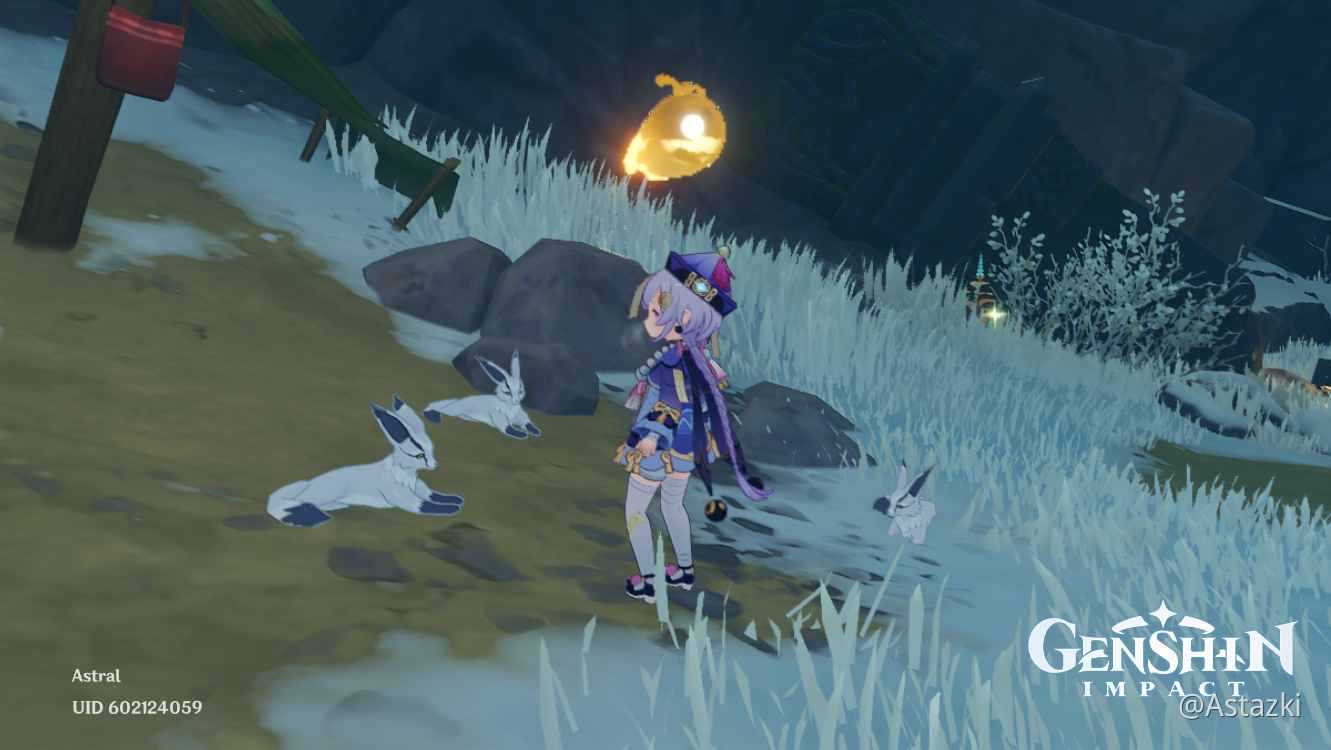 Qiqi with Snow Foxes Genshin Impact | HoYoLAB