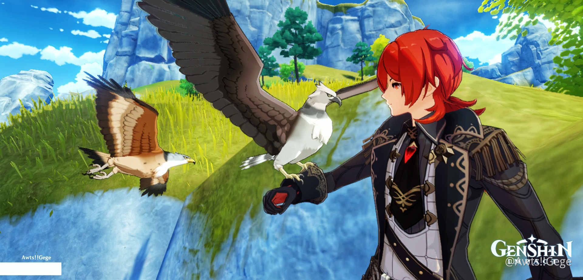 Diluc and his two birds 😅. Hehe Genshin Impact | HoYoLAB