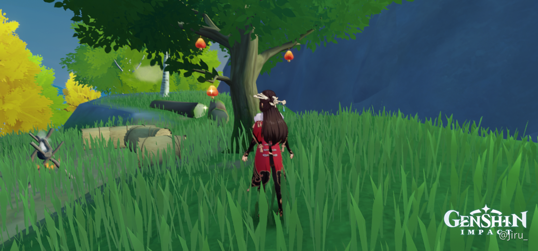 Sunsettia/Apple Trees Genshin Impact | HoYoLAB