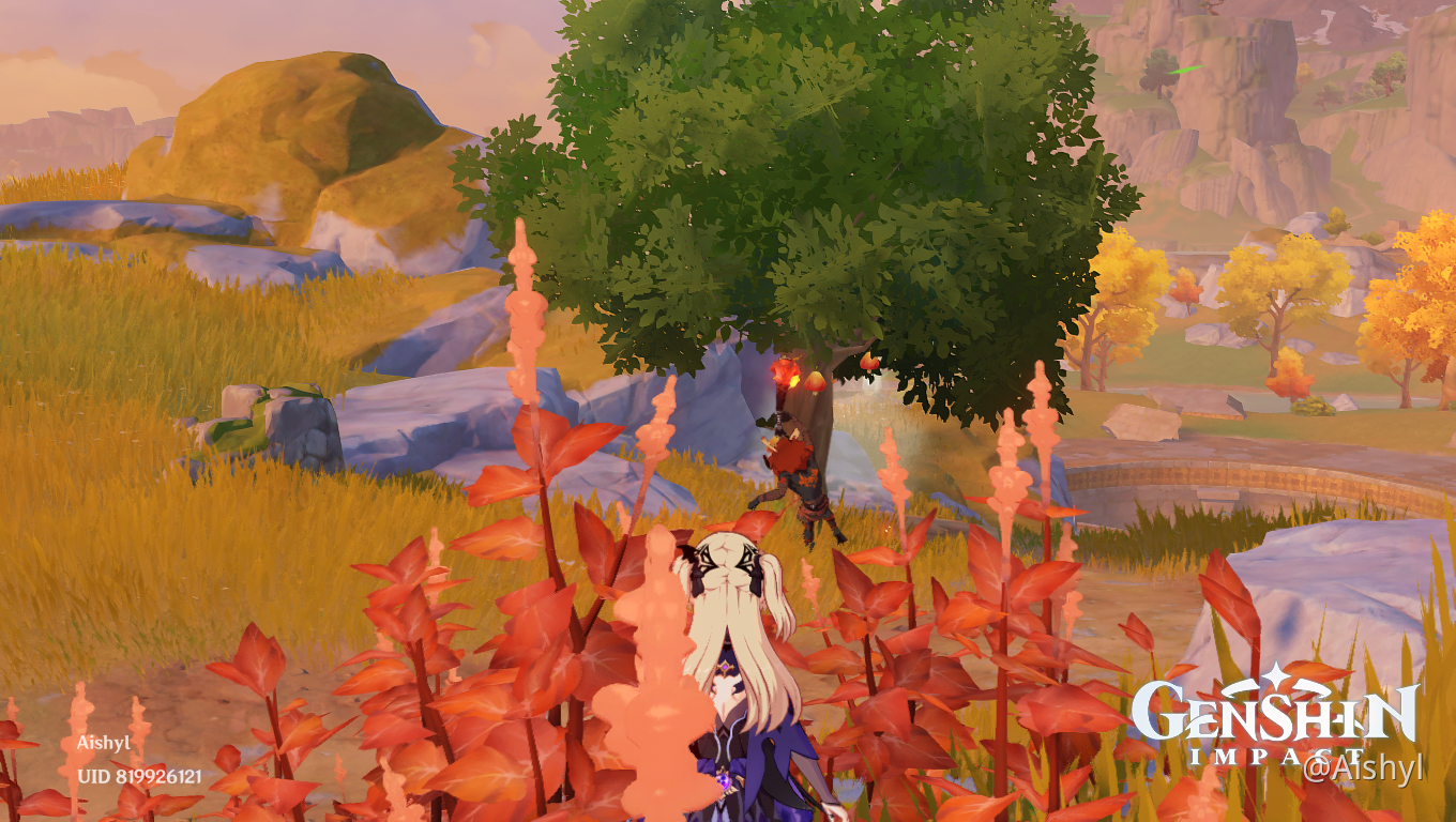 hillicurl aneh.. Genshin Impact | HoYoLAB