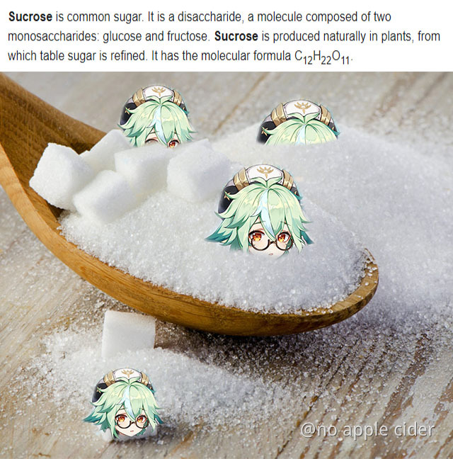 Sucrose is secretly sugar Genshin Impact | HoYoLAB