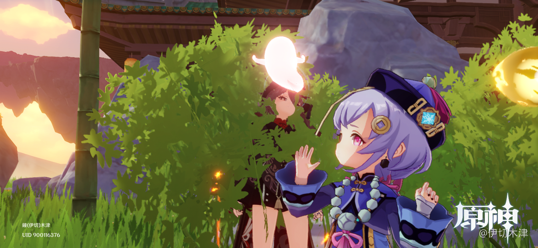 Qiqi's ghost tried to save her and failed.. Genshin Impact | HoYoLAB