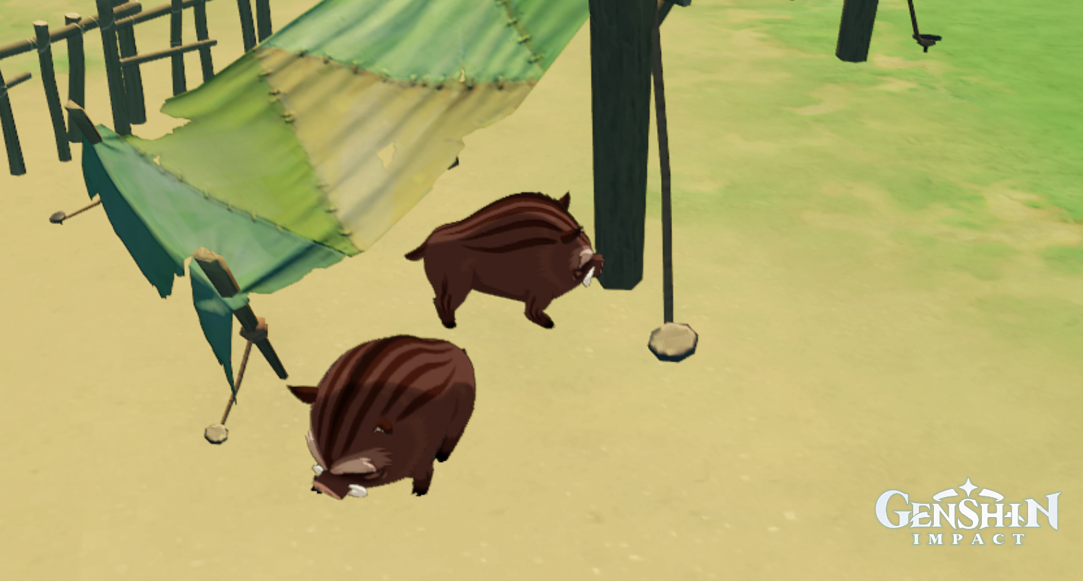 I left my pigs for almost half a day and here's what happened.. Genshin ...