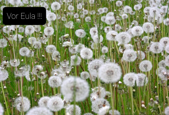 Farming für Eula Genshin Impact | HoYoLAB