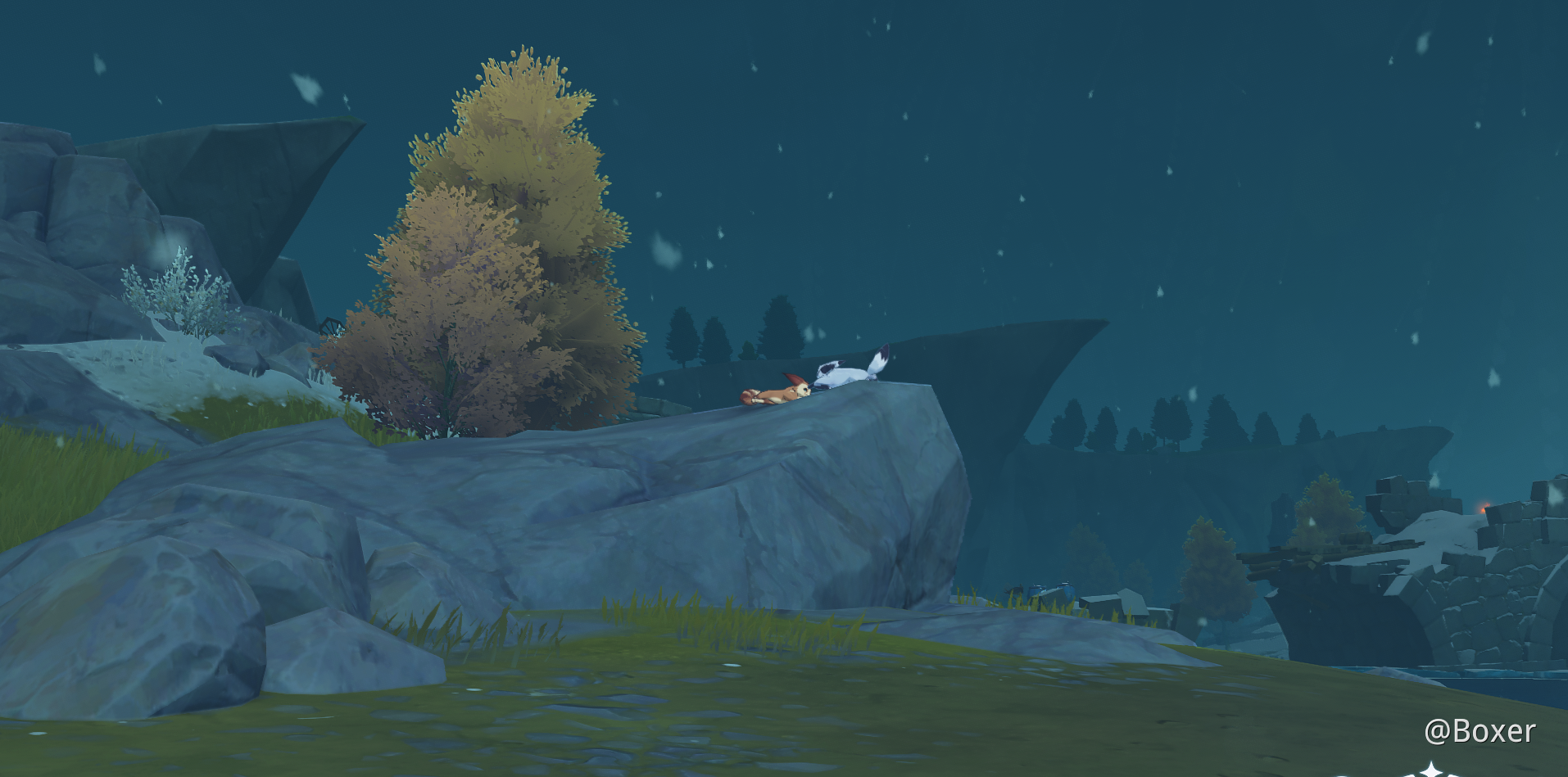 Fox Love Genshin Impact | HoYoLAB