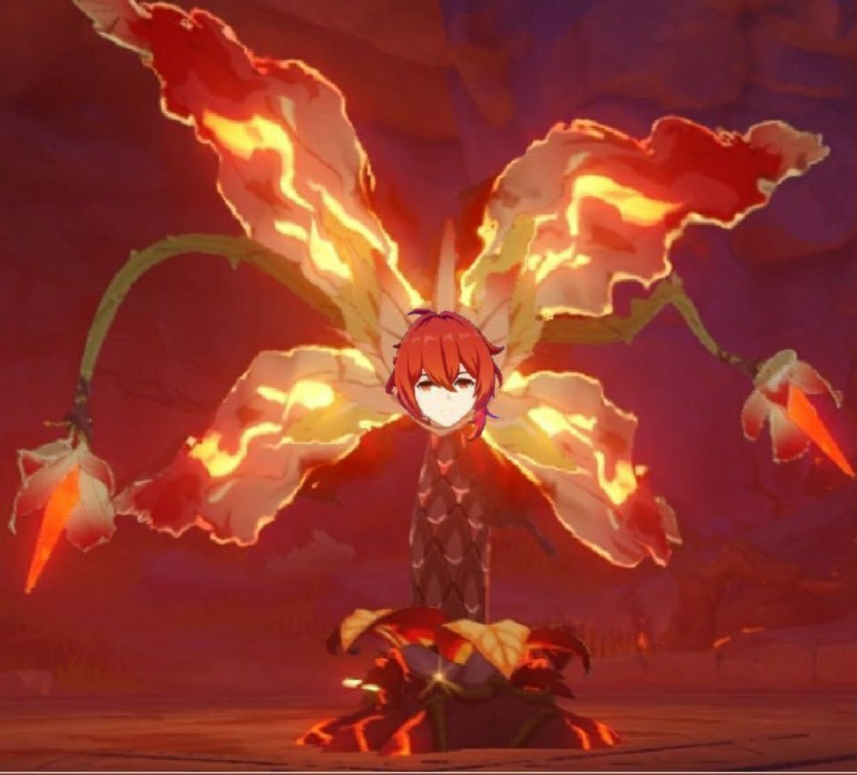 diluc flower Genshin Impact | HoYoLAB