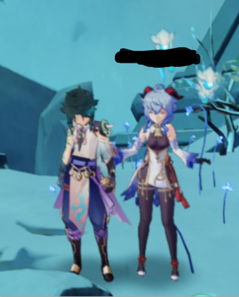 Best Adeptus' Genshin Impact | HoYoLAB